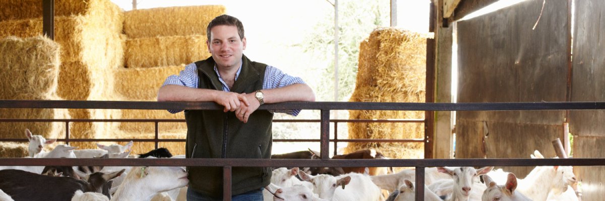 The Goat Shed Cheeses – Norfolk Goat’s Cheese – Norfolk Deli